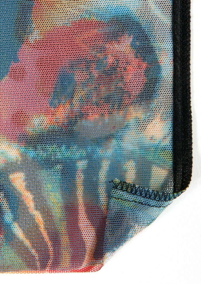 The Mesh Butterfly Challenge: Sheer Jeans - Threads