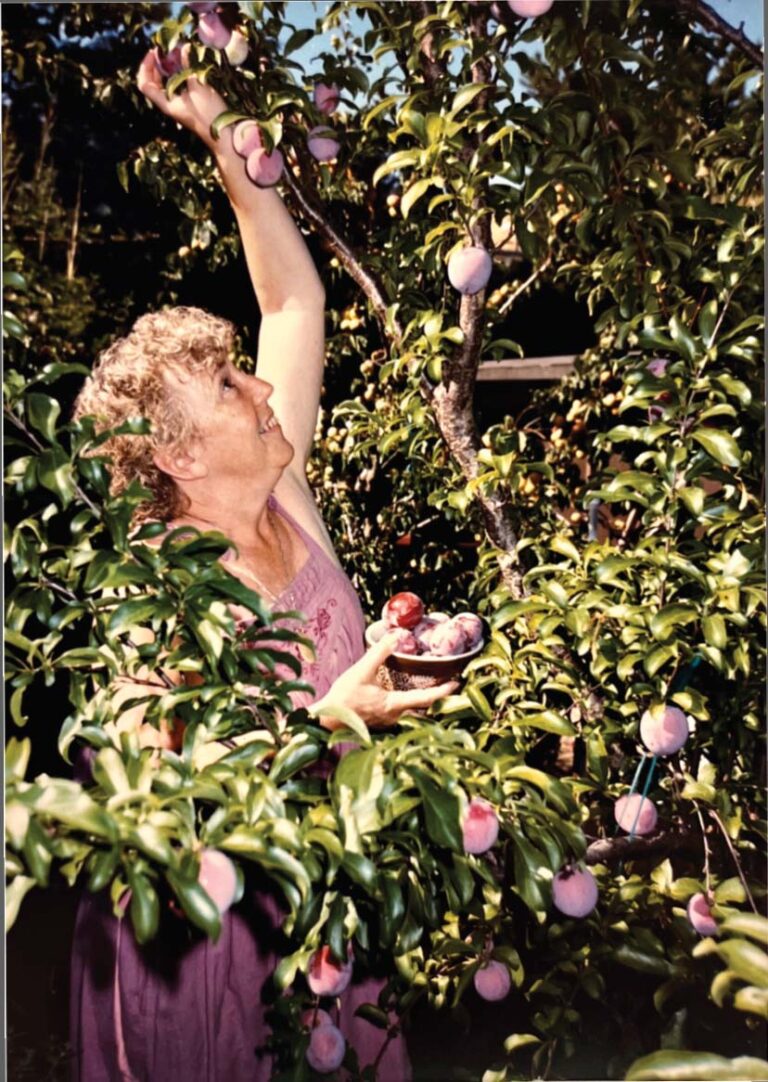 An Award-Winning Collection, with Annika Geissberger | Episode 79 - Threads